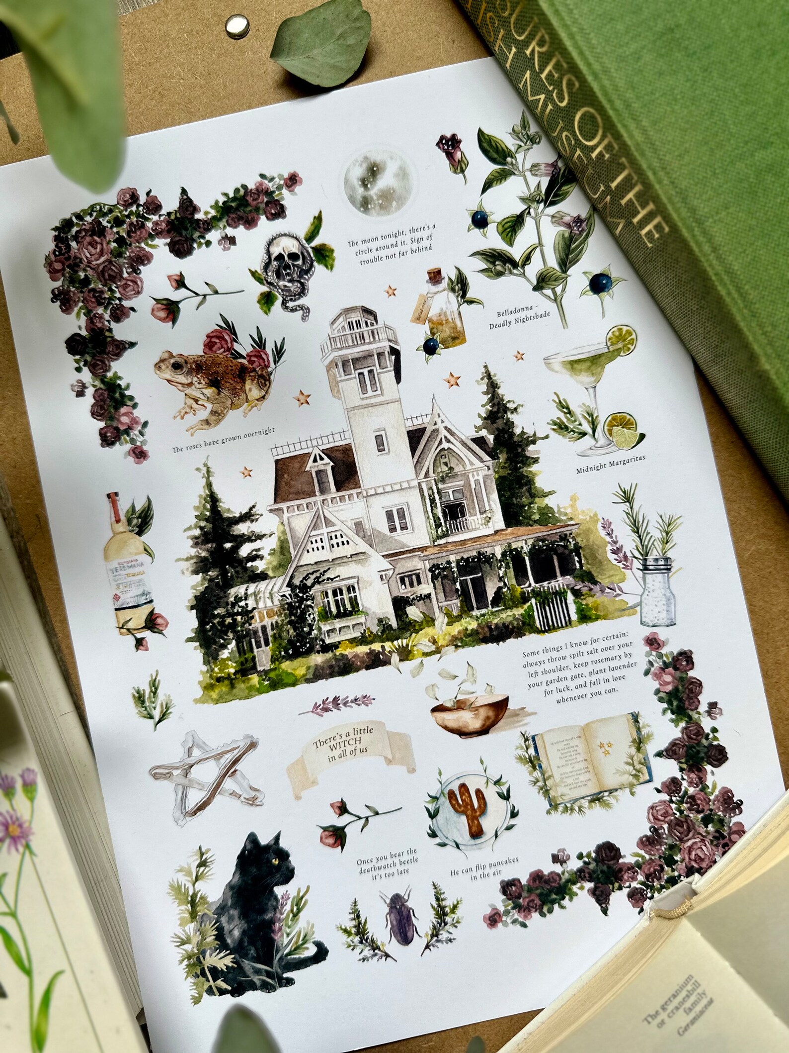 Practical Magic Story Fine Art Print, Watercolour Print - Etsy