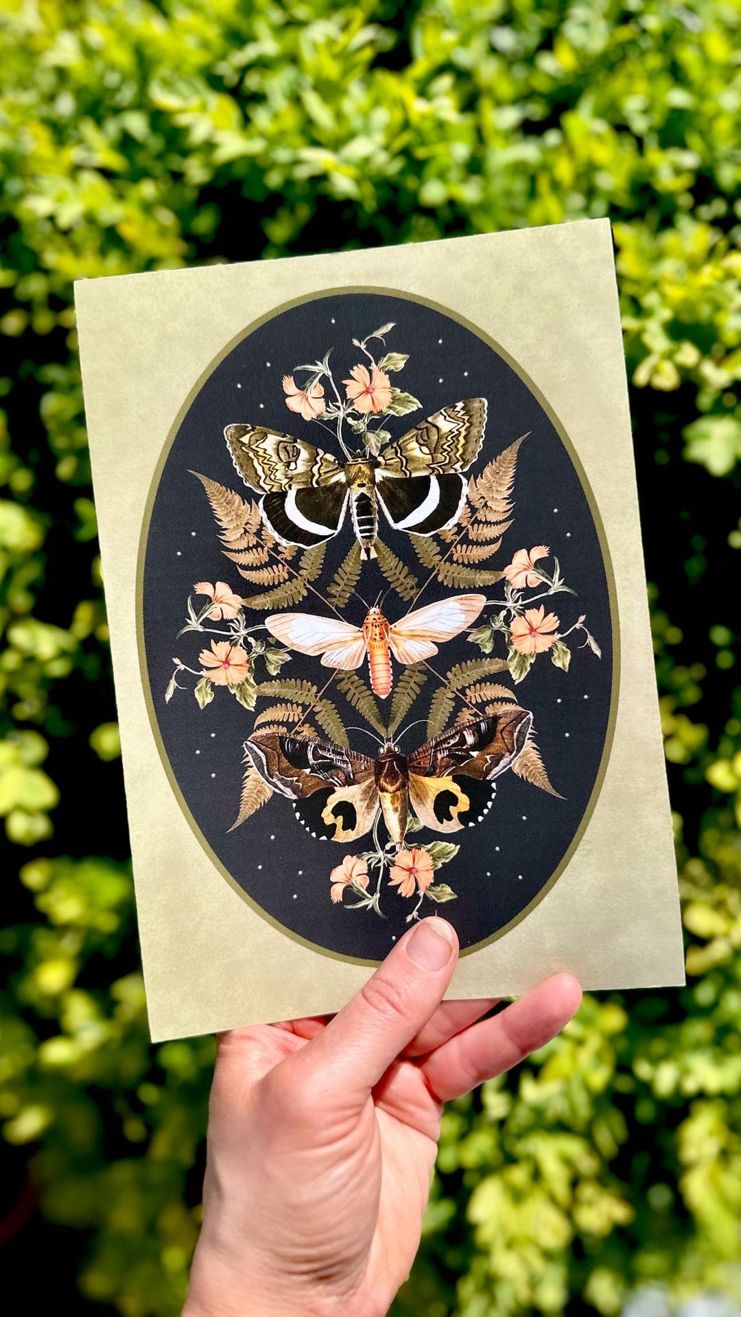 Magical Moths in Fern, Watercolour Fine Art Print, Archival Print - Etsy