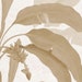 Sepia Tropical Wallpaper Mural for a Nursery Bedroom Decor. Peel and ...