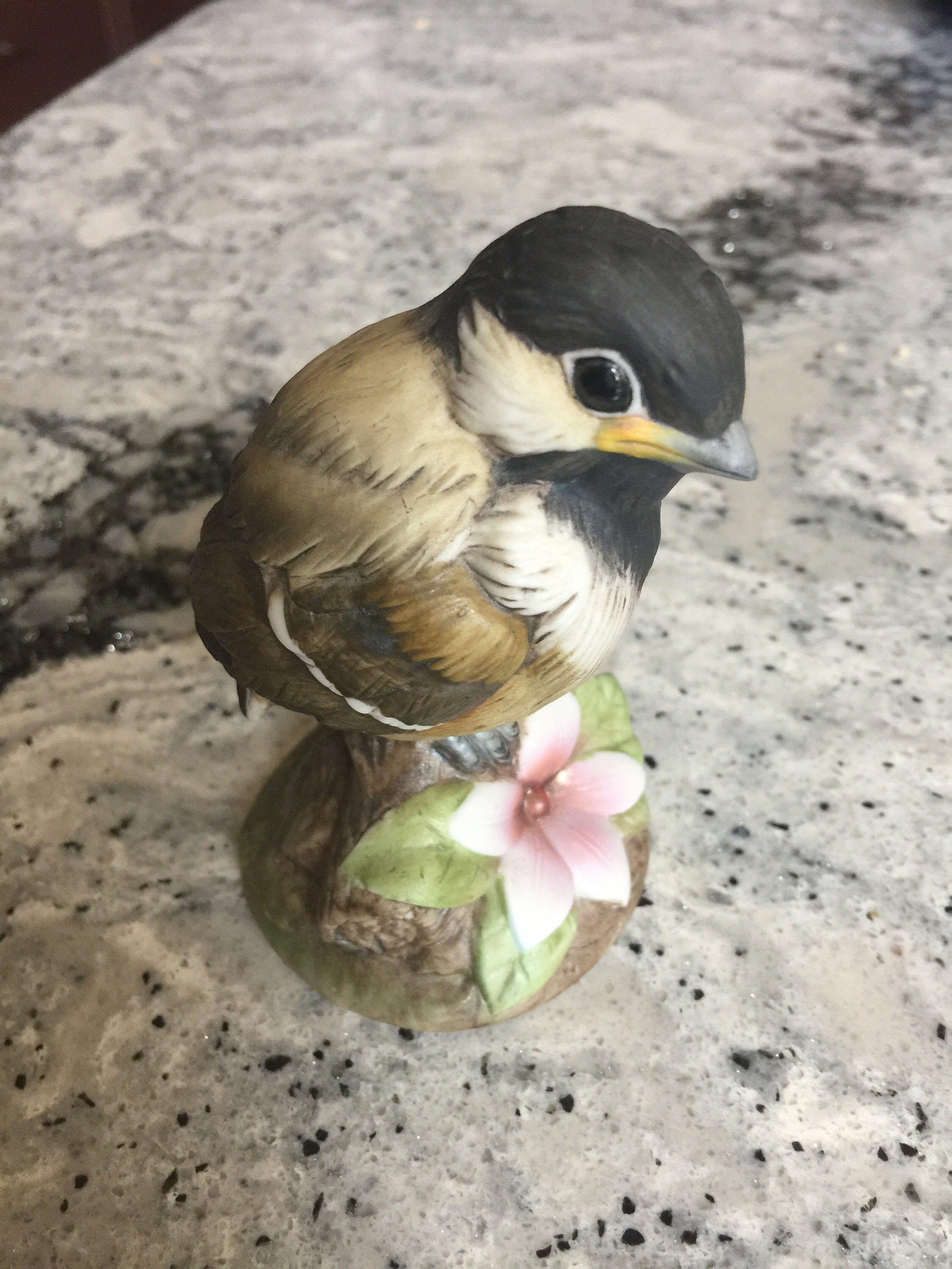 Andrea Birds for sale | Only 4 left at -70%