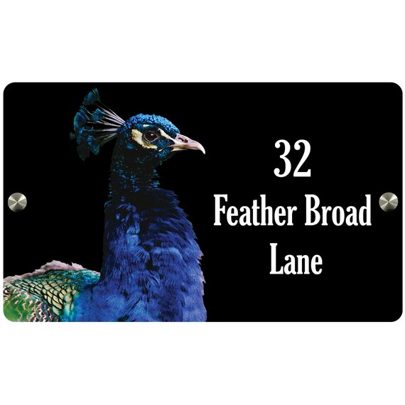 Peacock Sign Peacock Symbol Stock Illustration Download Image Now