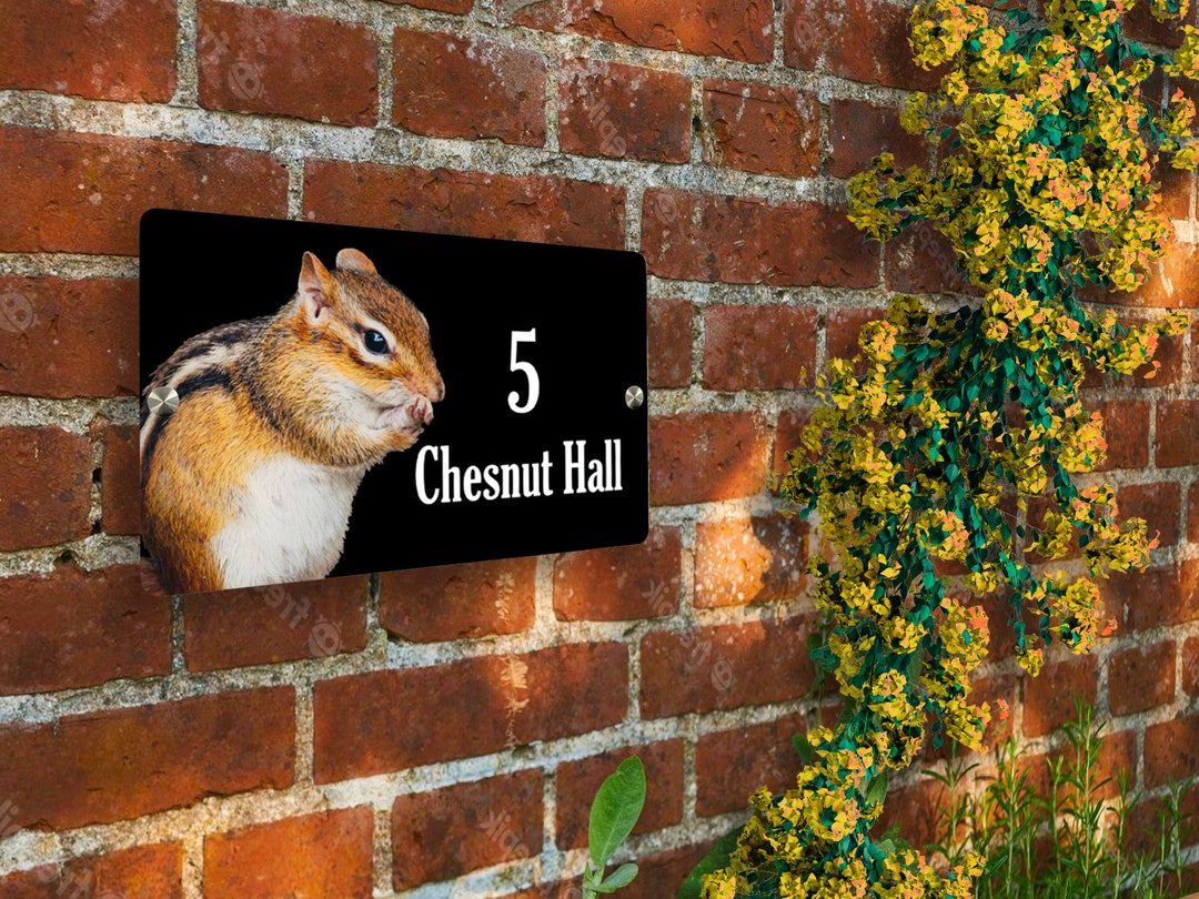 House Sign With Chipmunk Modern Acrylic Plaque Full Colour - Etsy