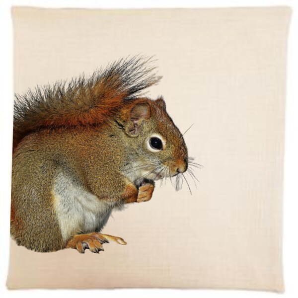 Squirrel Pillow - Etsy