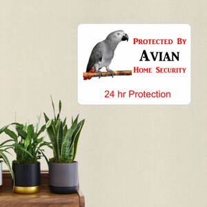 Parrot Security Sign, 2 CHOICES ,african Grey Security Sign, Mccaw Sign ...