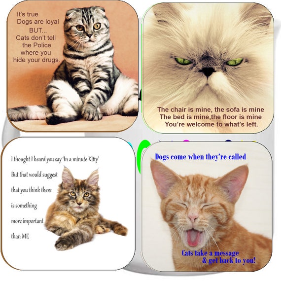 Set of 4 Fun Cat Coasters - Etsy