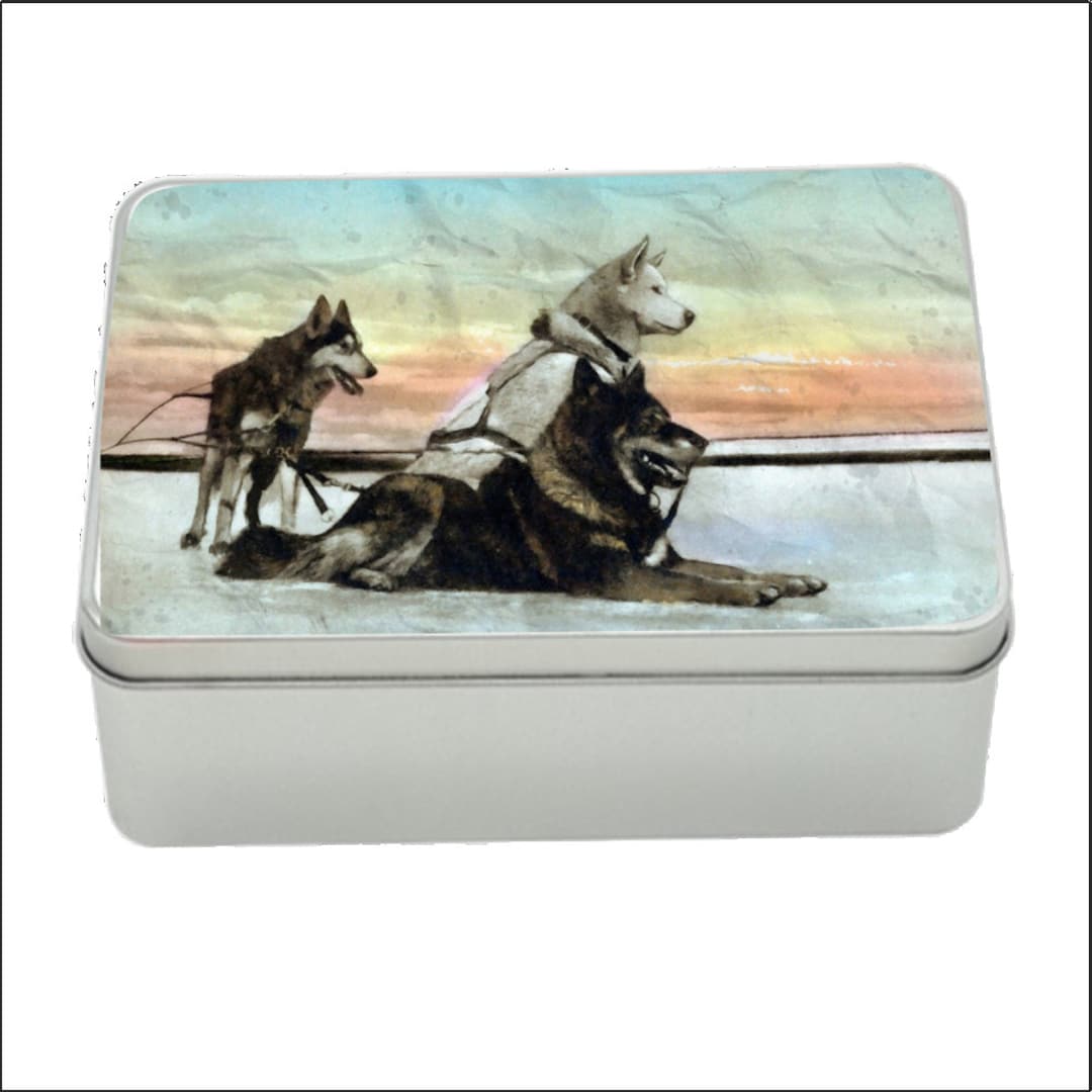 Husky Tin Dog Storage Tin Huskey - Etsy
