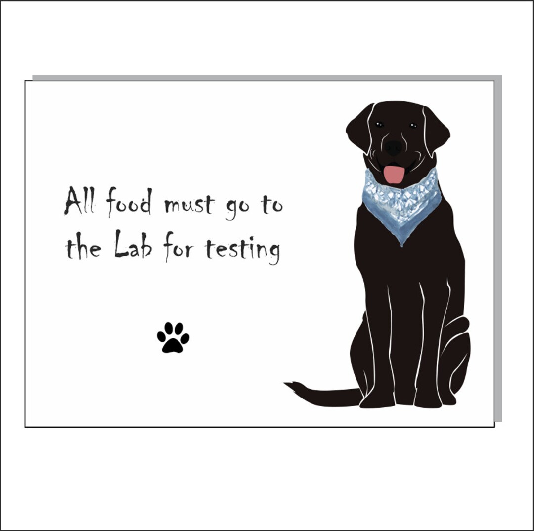 Labrador Dog Novelty Sign Dog Lover Fun Sign Gift Idea - Etsy UK