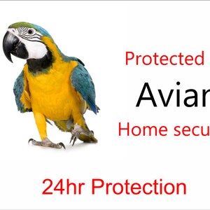 Parrot Security Sign, 2 CHOICES ,african Grey Security Sign, Mccaw Sign ...