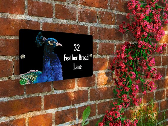 Peacock Sign Peacock Symbol Stock Illustration Download Image Now