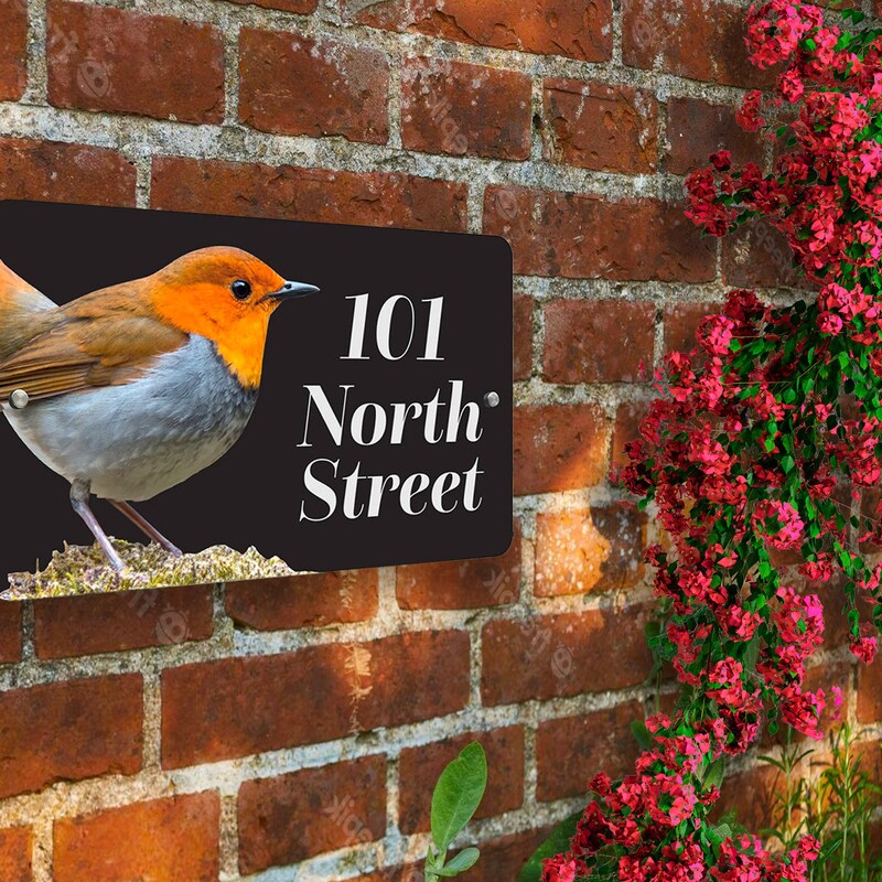 Robin Bird House - Etsy