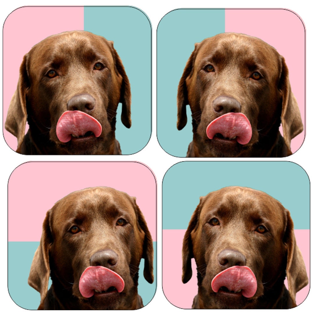 Labrador Coaster Set Chocolate Labrador Coasters Labrador - Etsy