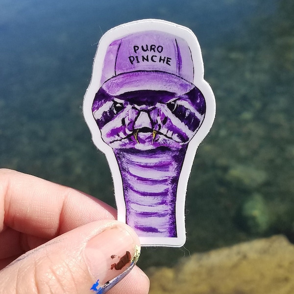 Puro Pinche 956 Decal - Etsy