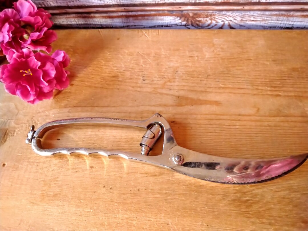 Vintage SOLINGEN Poultry Shears Scissors, Meat Shears, Cooking Gift. - Etsy