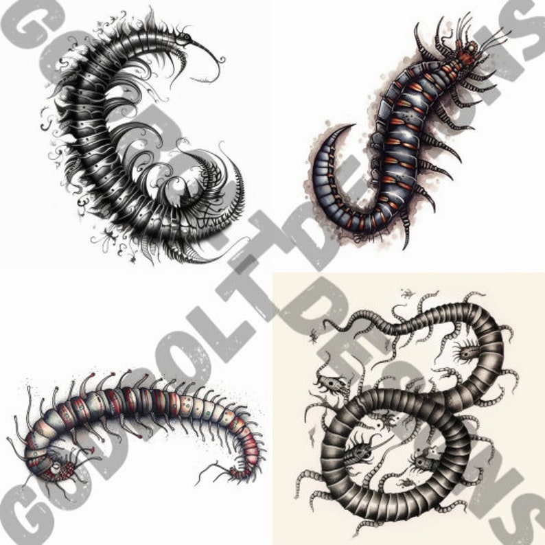 Centipede Tattoo Design Pack | 4 PSD and PNG Files | Perfect for ...