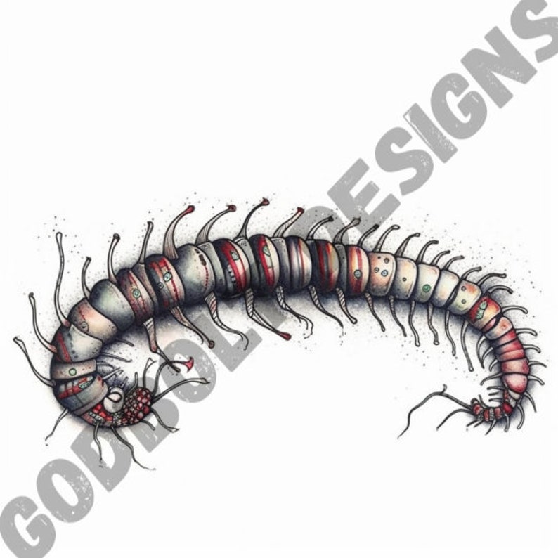 Centipede Tattoo Design Pack | 4 PSD and PNG Files | Perfect for ...