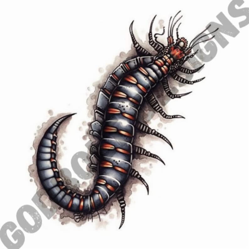Centipede Tattoo Design Pack | 4 PSD and PNG Files | Perfect for ...