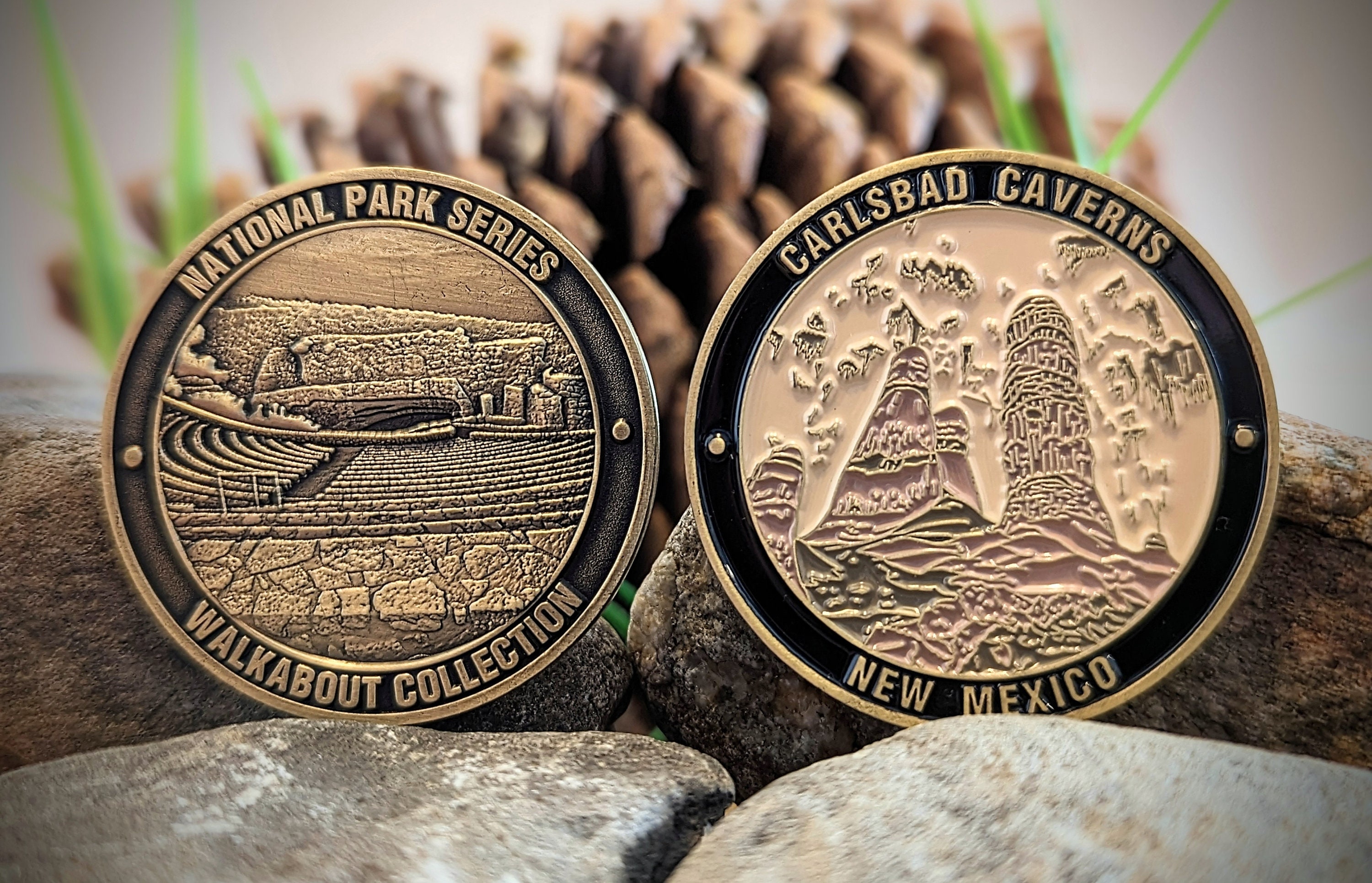Carlsbad Caverns National Park Challenge Coin - Etsy