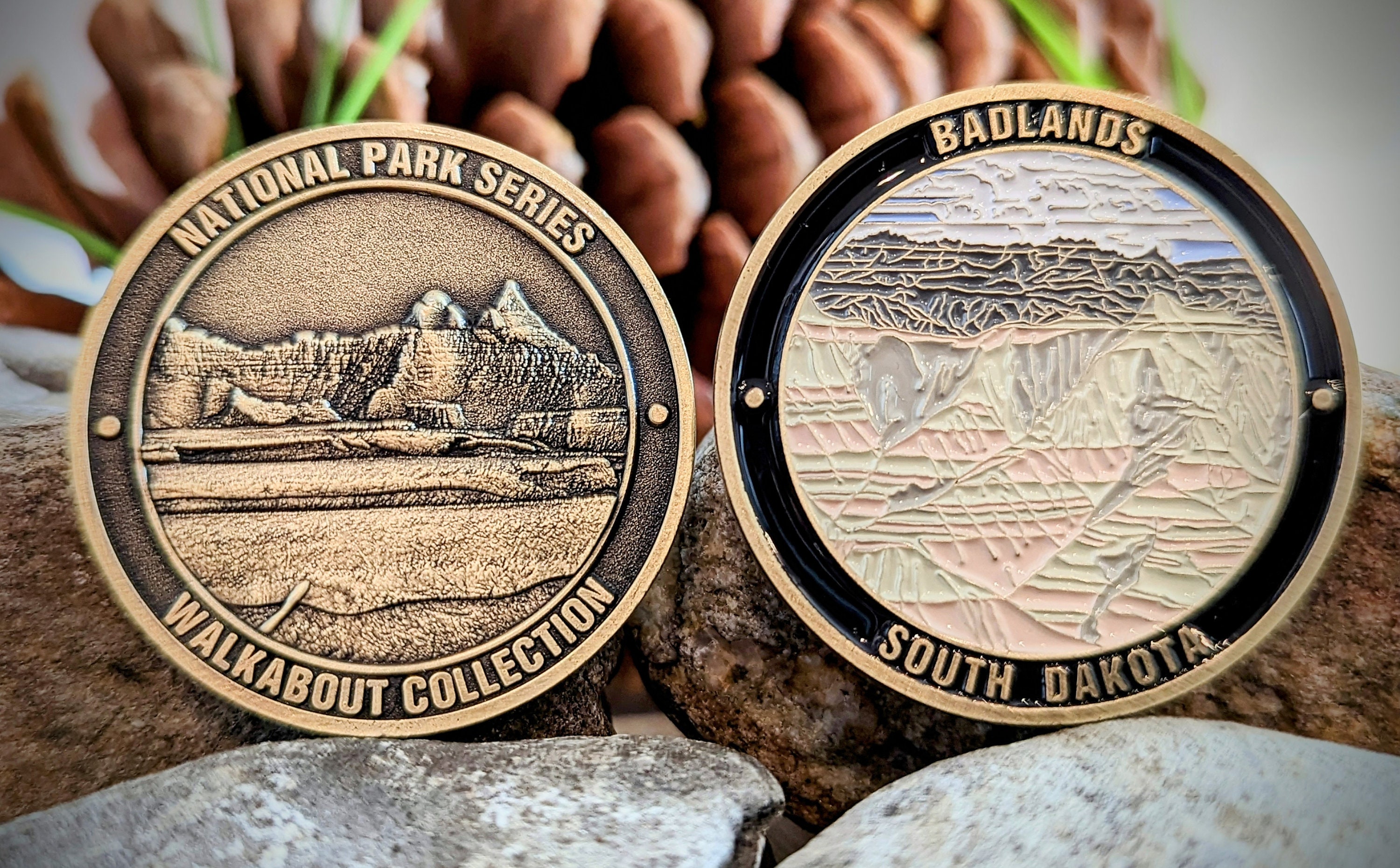 Badlands National Park Challenge Coin - Etsy