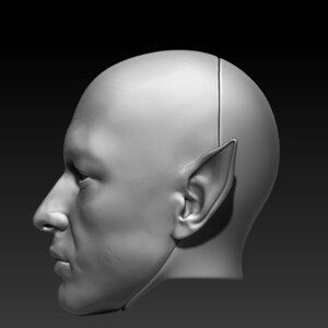 BJD Astarion Based Head - Etsy