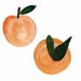 Peaches Decal, Peach Decal, Peach Wall Sticker, Peach Decals, Peach ...