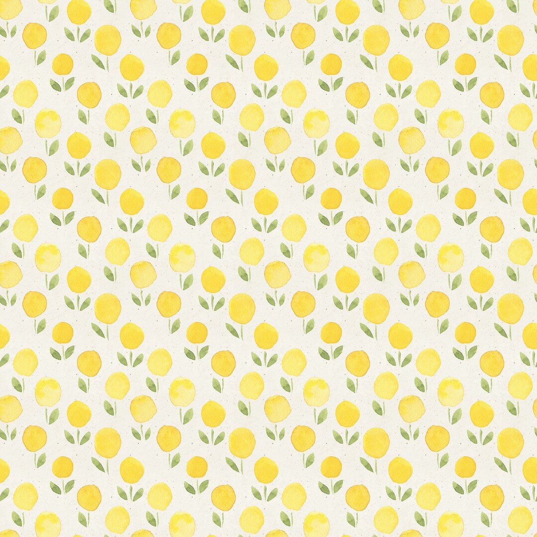 Lemon Tree Contact Paper- Pack of 3 24x48" Rolls - Etsy