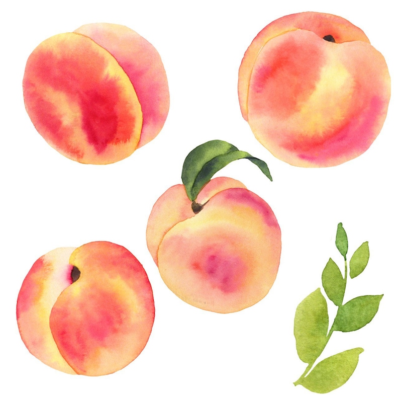 Watercolor Peaches Decal Peach Decal Peach Wall Sticker - Etsy