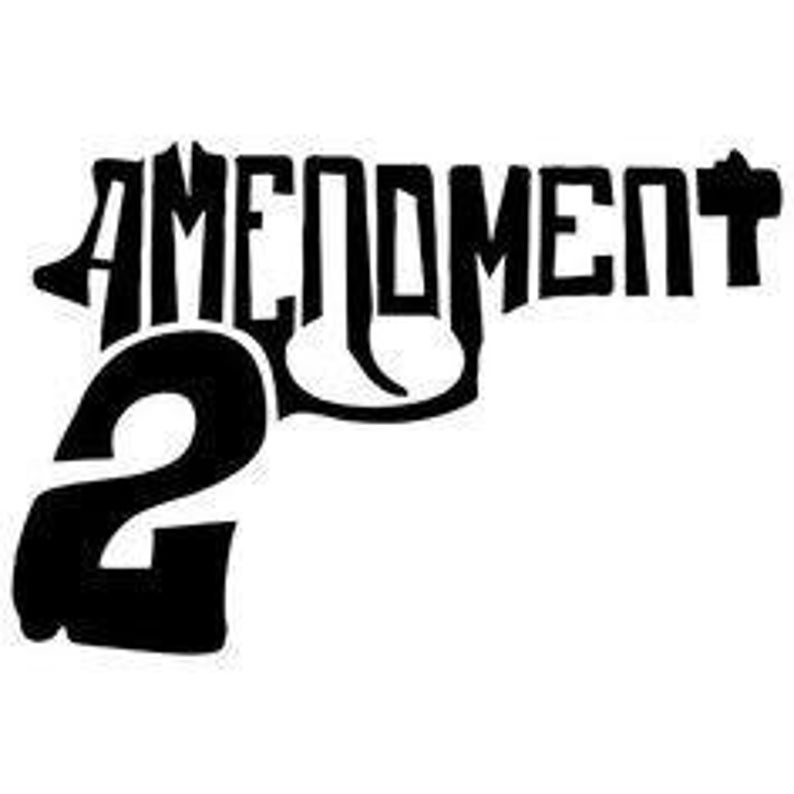 Second Amendment Pistol Vinyl Decal - Etsy