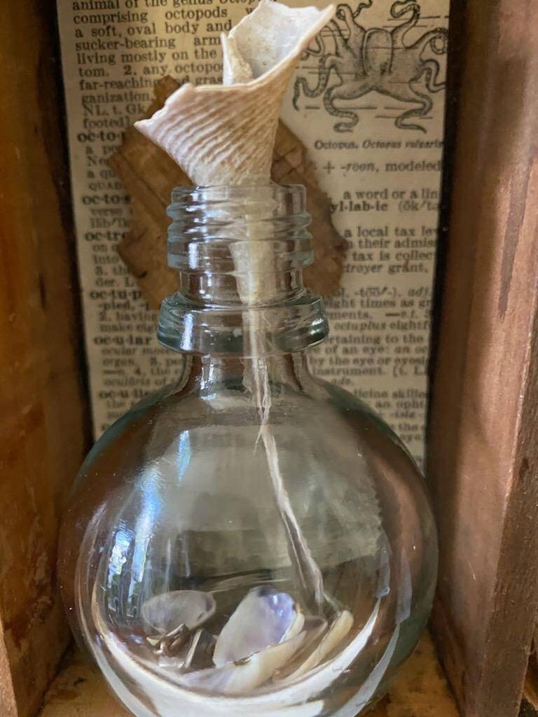 Assemblage Art, Found Object Art, nature Rules, Sea Art, Shell Art ...