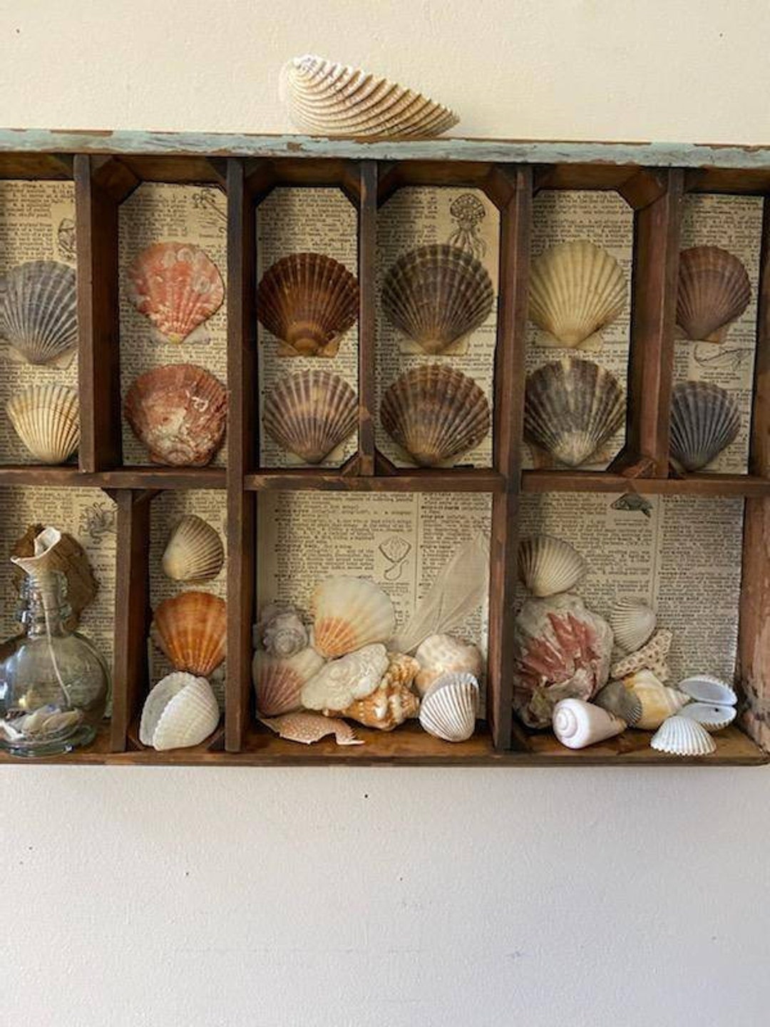 Assemblage Art, Found Object Art, "nature Rules", Sea Art, Shell Art ...