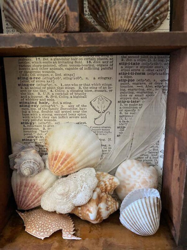 Assemblage Art, Found Object Art, nature Rules, Sea Art, Shell Art ...