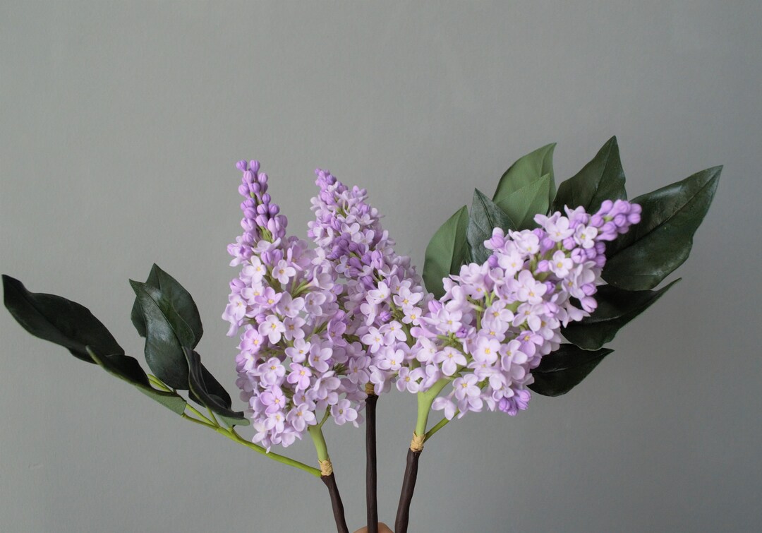 Lilac Bouquet. Realistic Cold Porcelain Flowers. Lilac in a Vase. - Etsy