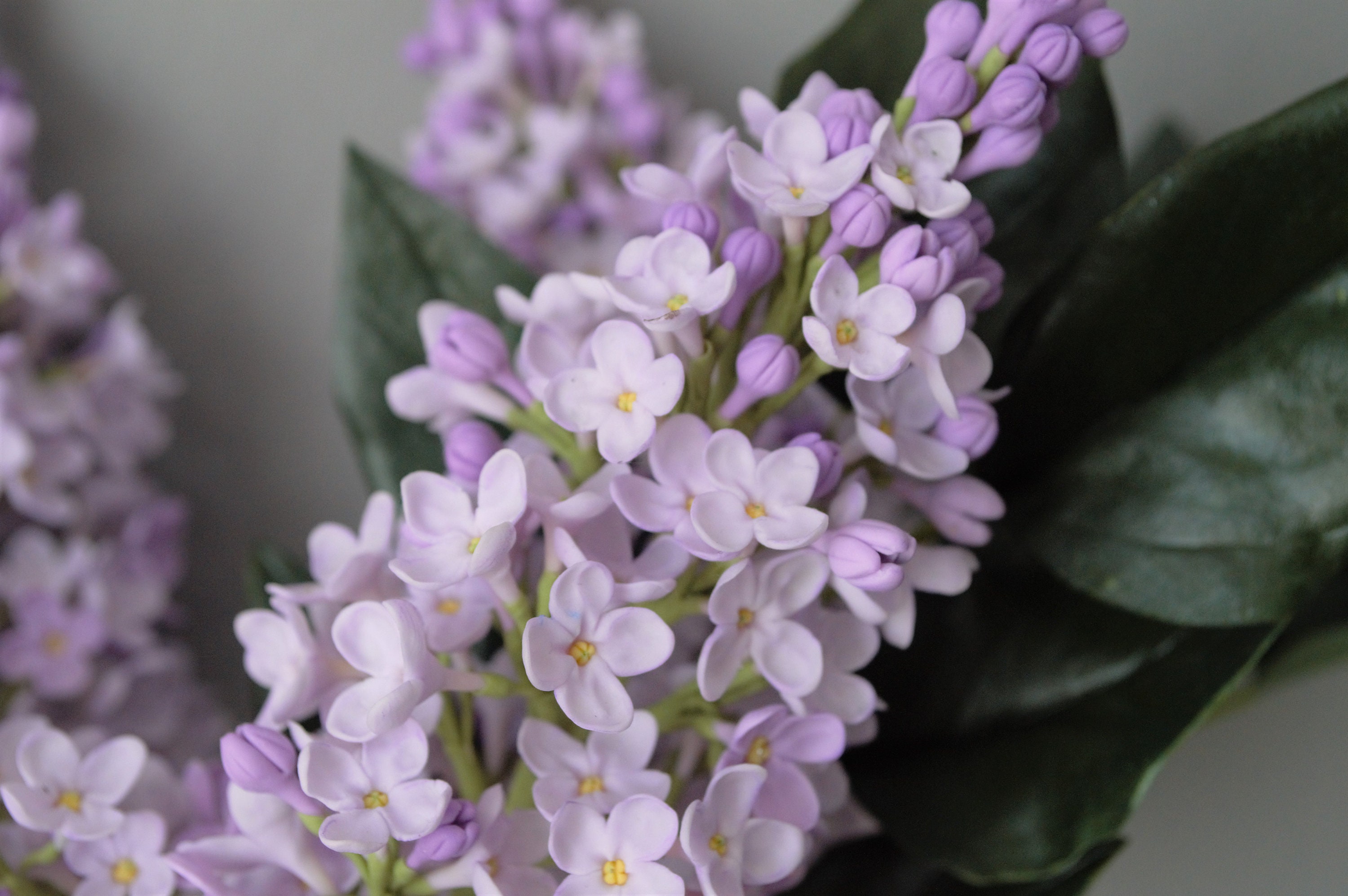 Lilac Bouquet. Realistic Cold Porcelain Flowers. Lilac in a Vase. - Etsy
