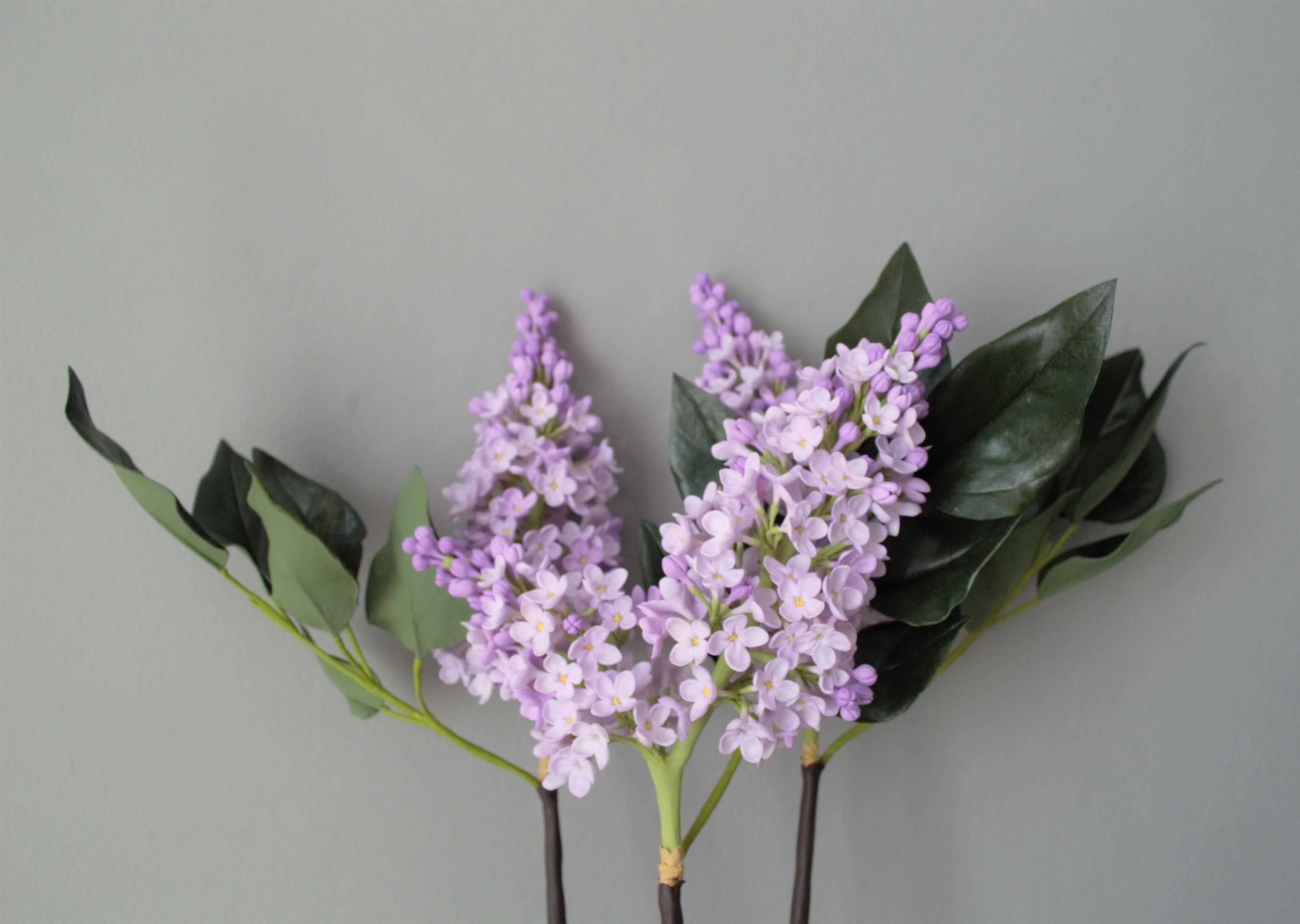 Lilac Bouquet. Realistic Cold Porcelain Flowers. Lilac in a Vase. - Etsy