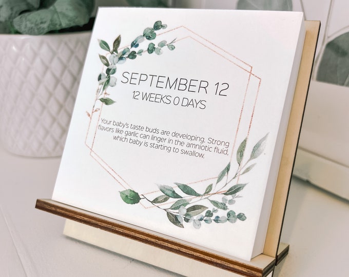 Custom Due Date Baby Countdown Calendar Pregnancy Gift for - Etsy
