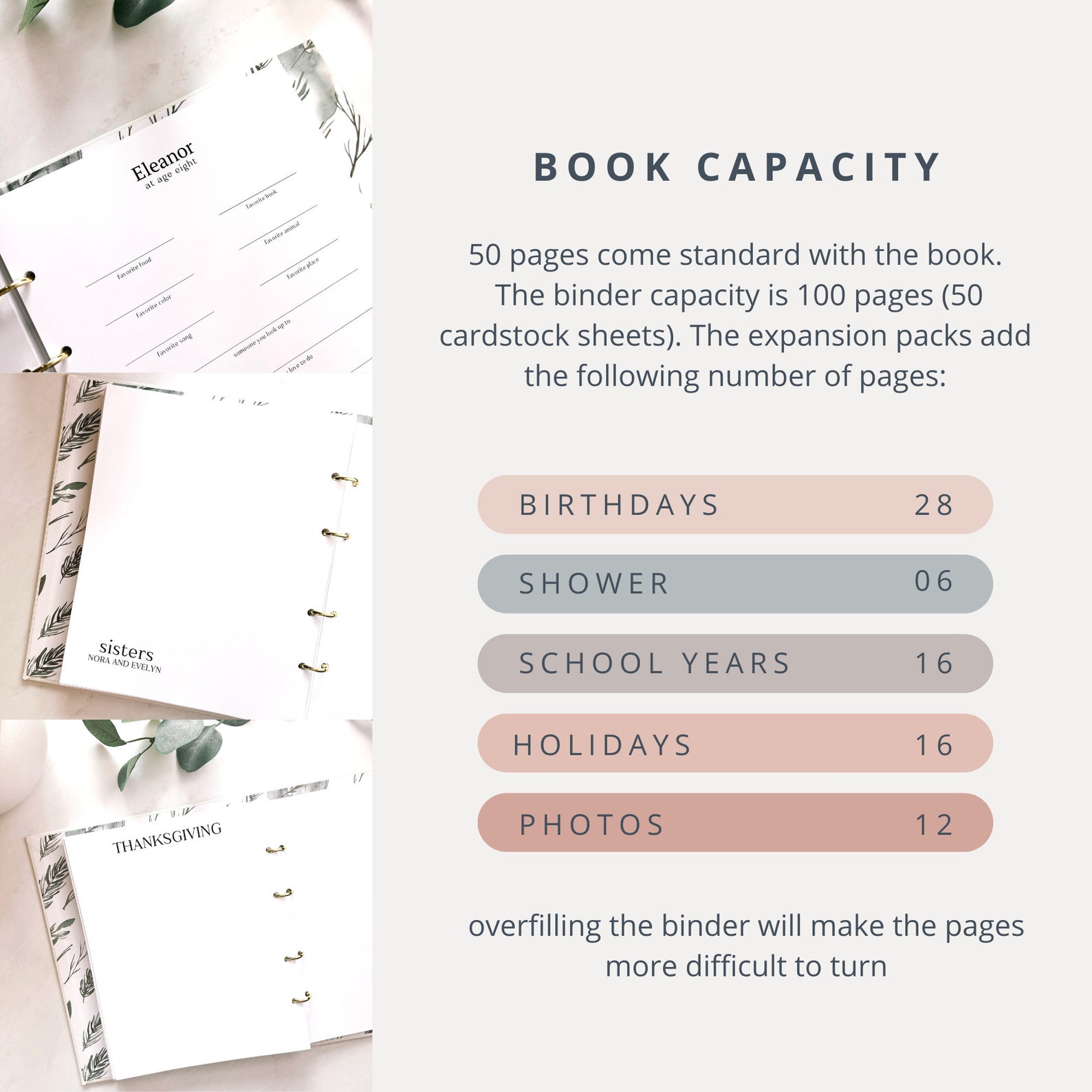 School Years Expansion Pack - Prepunched Additional Pages for ...