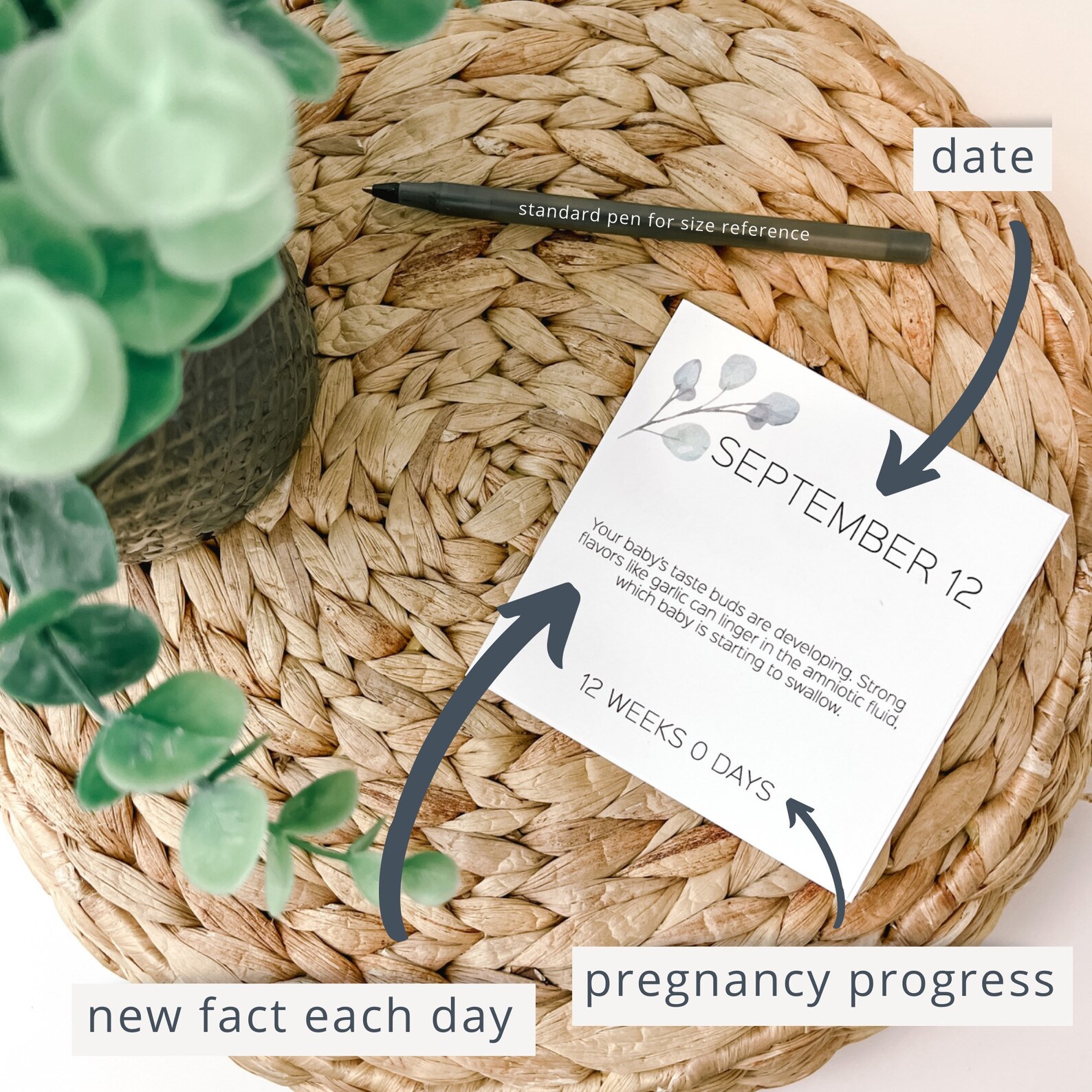 Custom Due Date Baby Countdown Calendar Pregnancy Gift for - Etsy