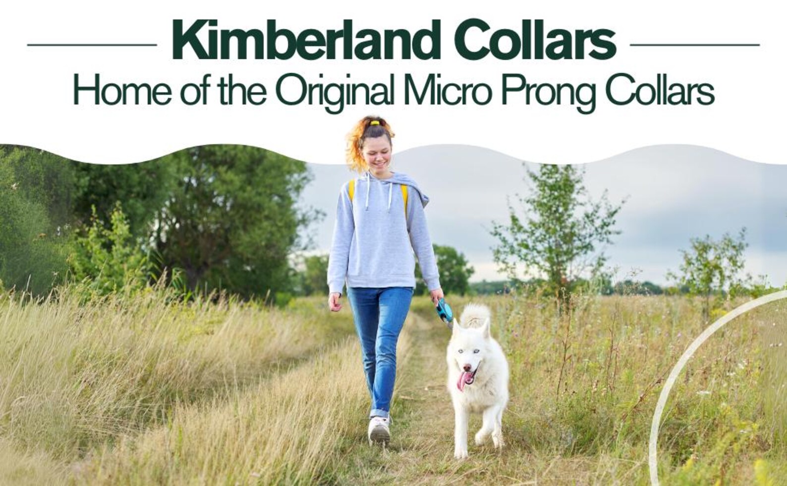 Kimberland 1.5mm Micro Prong Collar With Ring Leash Attachment (duro ...