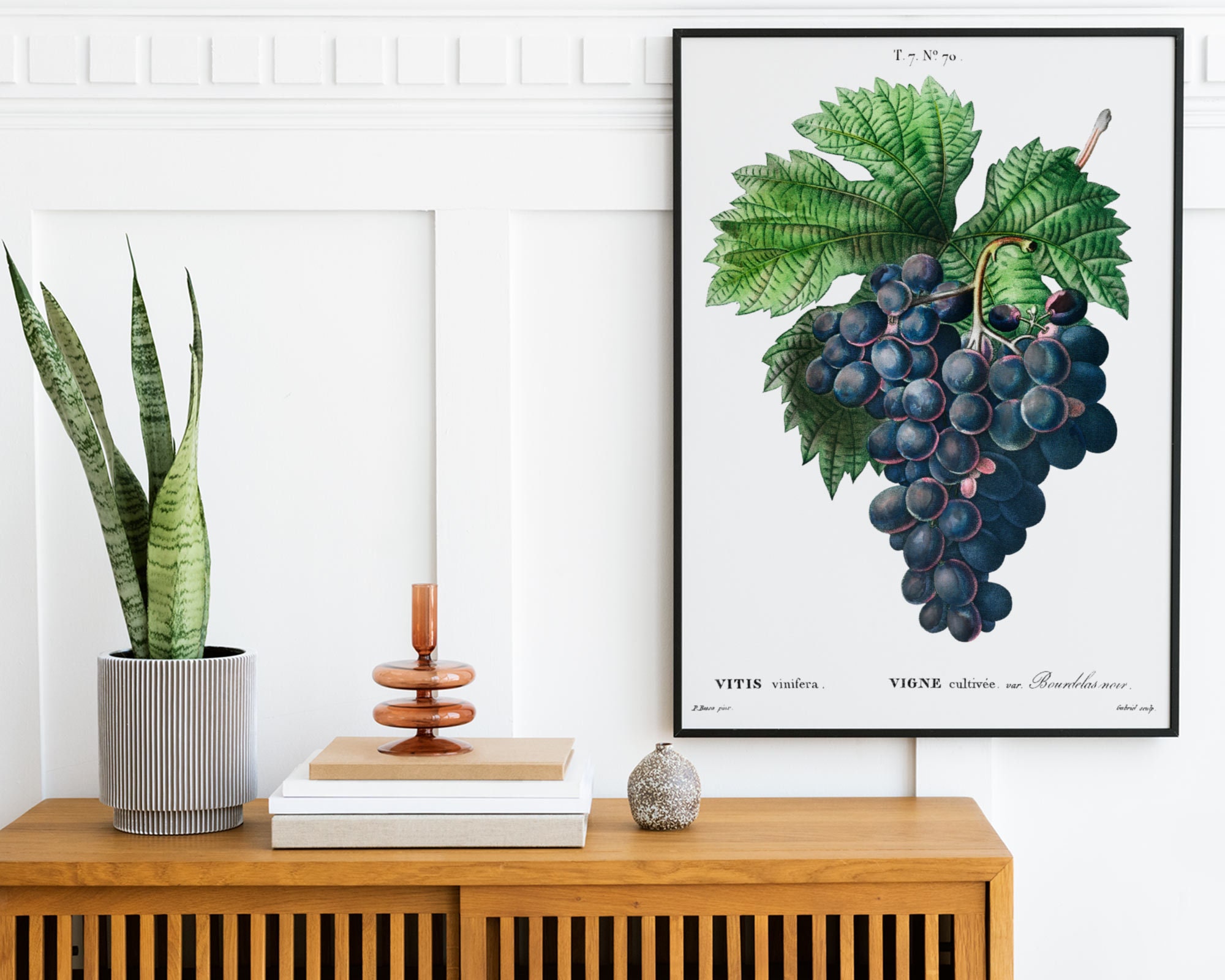 Kitchen Wall Poster, Vintage Grape Painting, Hand Drawn Botanical ...