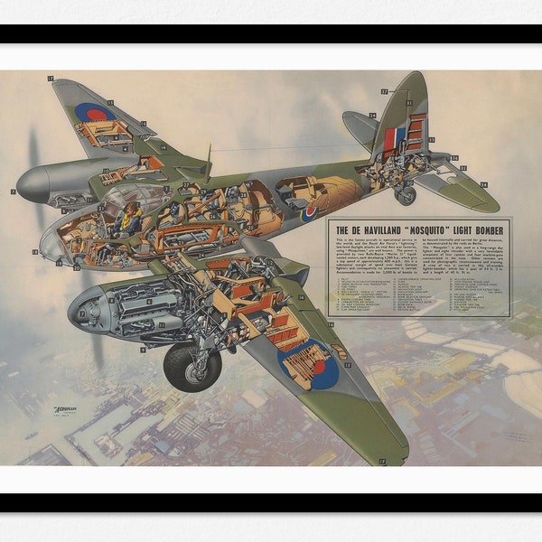 Raf Posters - Etsy