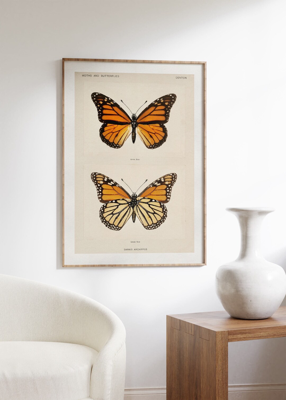 Póster de mariposas, mariposas monarca, pinturas y pósteres de animales ...