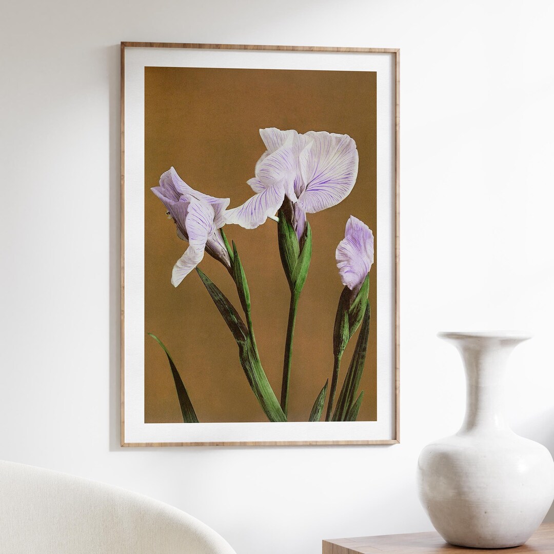 Iris Flower Poster, Ogawa Kazumasa, Irises, Botanical Print, Flower ...