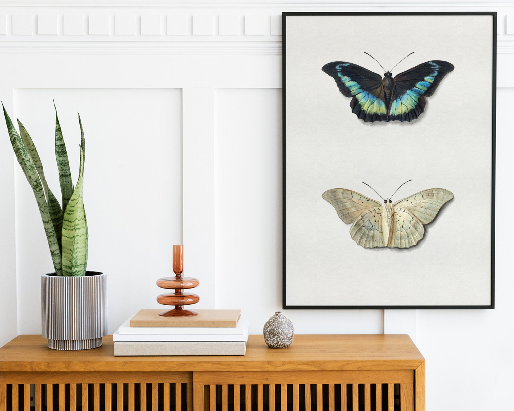 Butterfly Poster Butterflies Print Vintage Illustration of - Etsy India