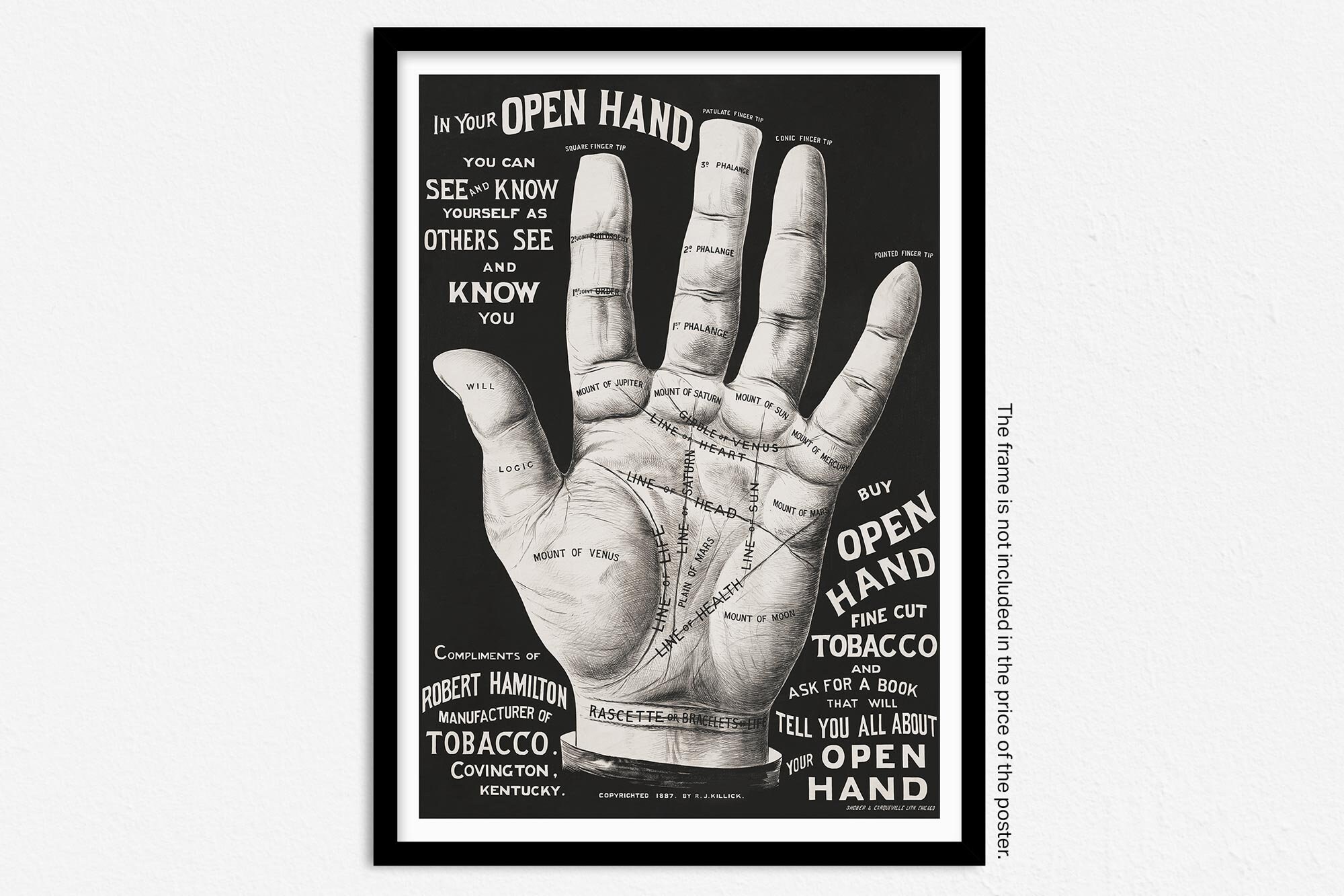 Vintage Palm Reading