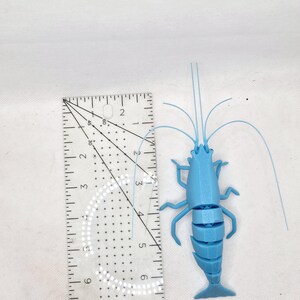 3d Printed Shrimp, Fidgets, Pocket Pals, Cute Pets, Shrimps - Etsy