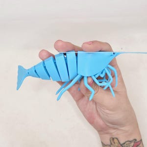 3D Printed Articulated Shrimp, Pocket Pal Fidget - Etsy