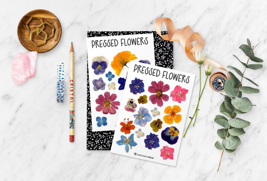 Pressed Flower Sticker 2 Pack | Inspirational Plants | Aesthetic ...