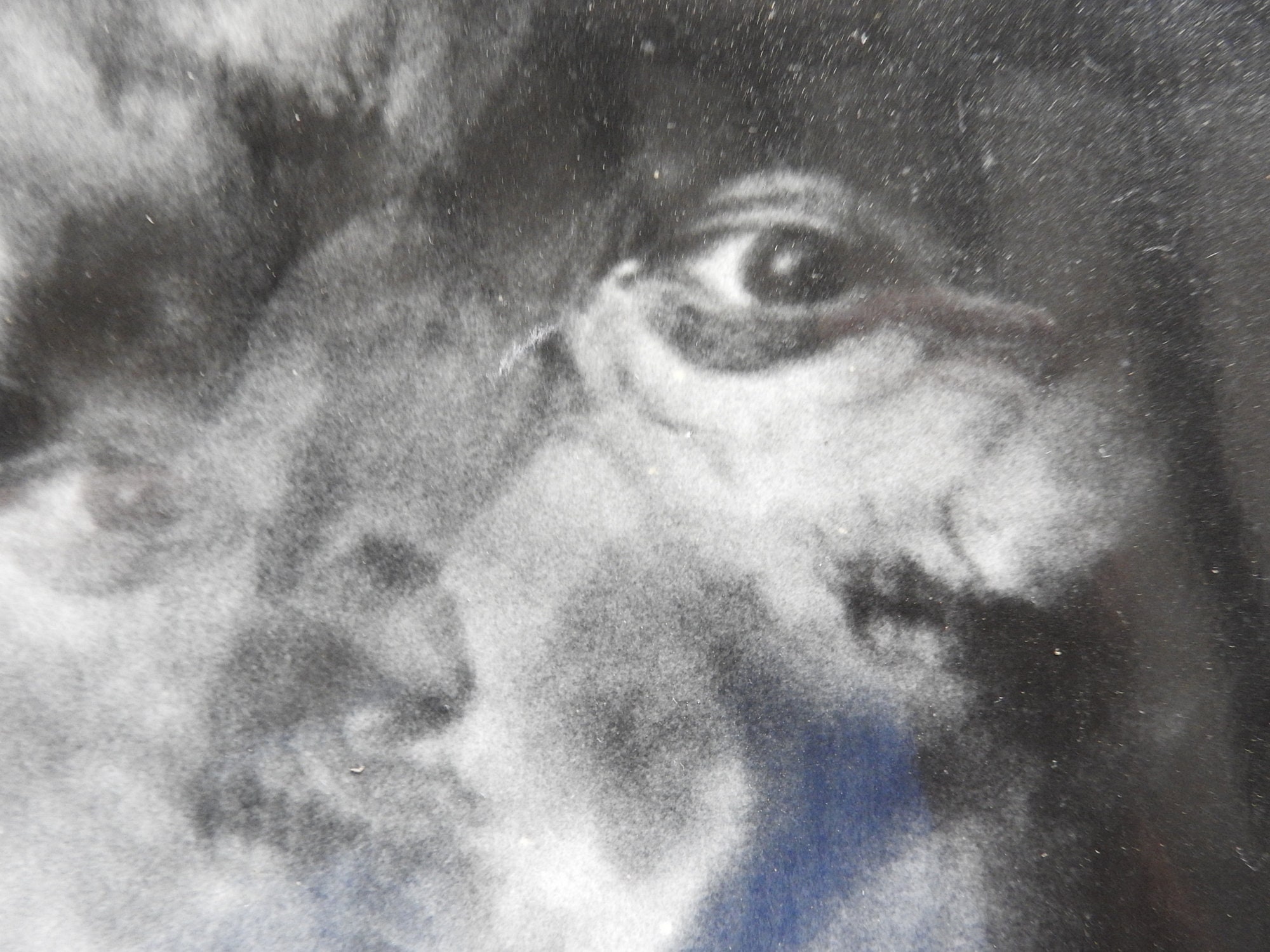 Genuine Silver-halide Art Photo Print 'city Pollution' - Etsy UK