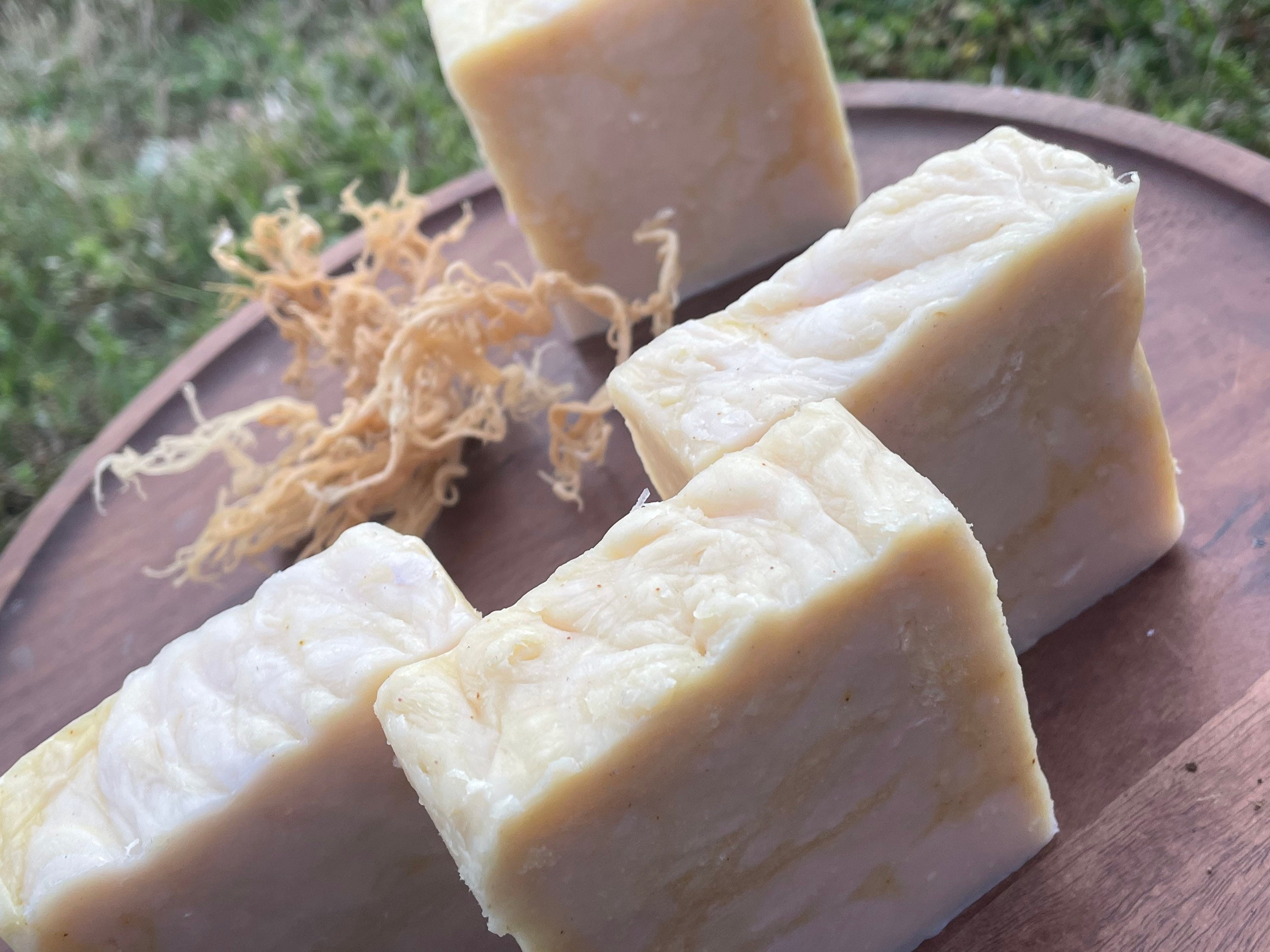 Sea Moss Soap Bar Sea Moss and Turmeric Soap Soap With Sea - Etsy Ireland