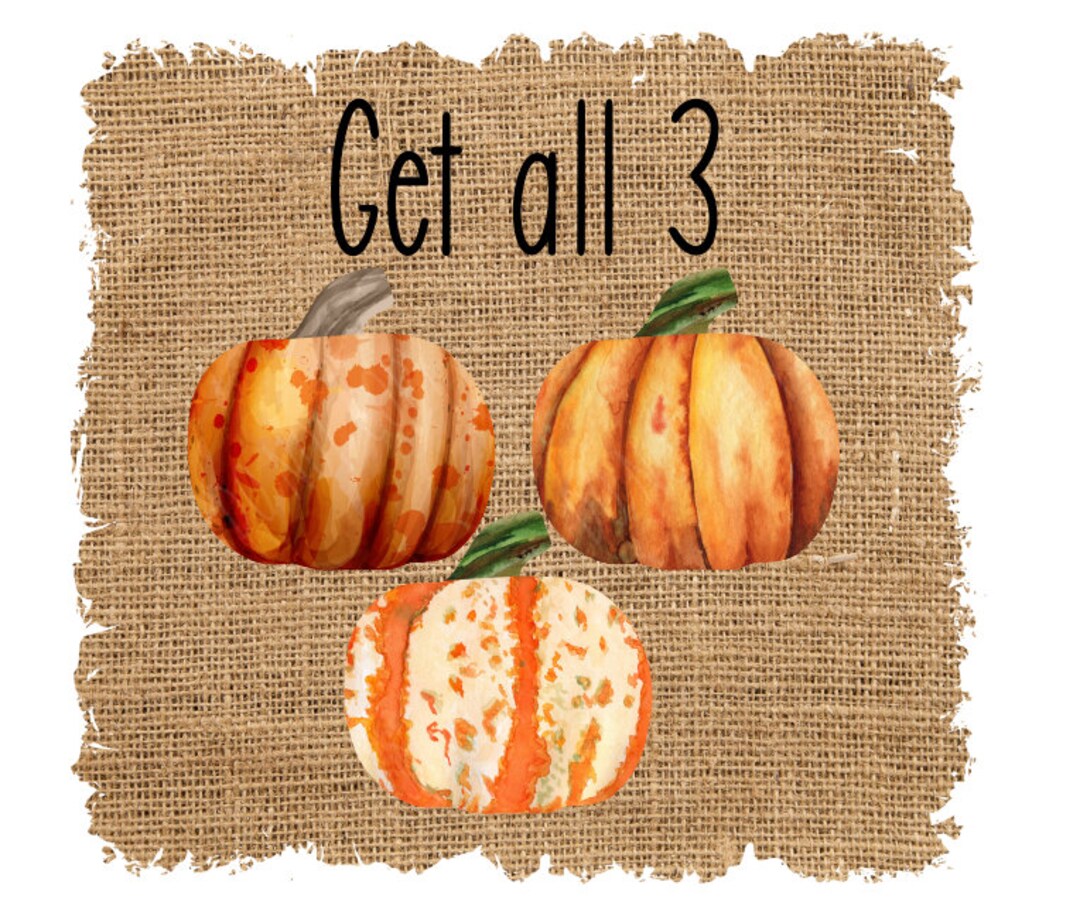 Pumpkin Bundle Digital , Instant Download , Fall Clipart, Pumpkin Png ...