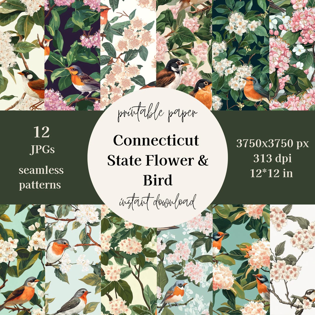 Connecticut State Bird & Flower Paper, Floral Scrapbook Paper, Digital ...
